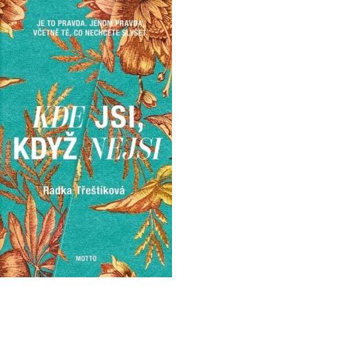 Kde jsi, když nejsi | Kanzelsberger – knihy po všech stránkách